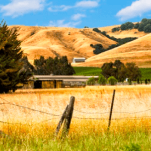 Sonoma Resilient Landscapes Coalition – Eco-appropriate Homescaping for ...