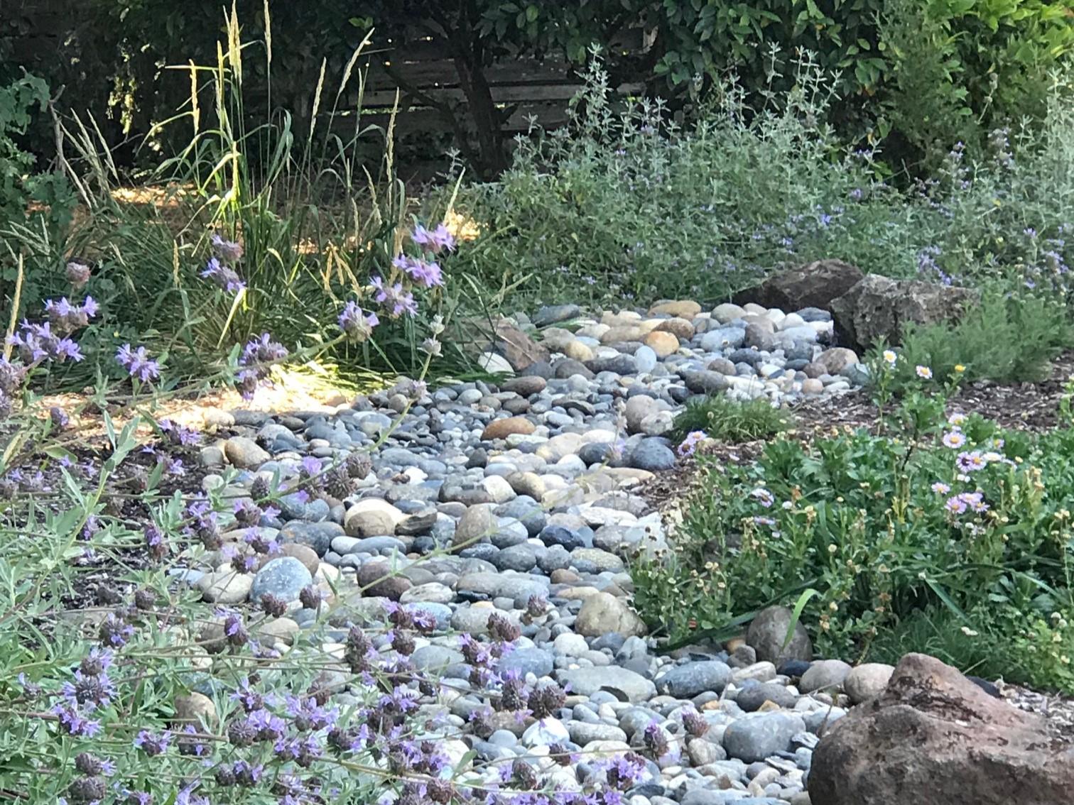 Landscape (Design) – Sonoma Resilient Landscapes Coalition