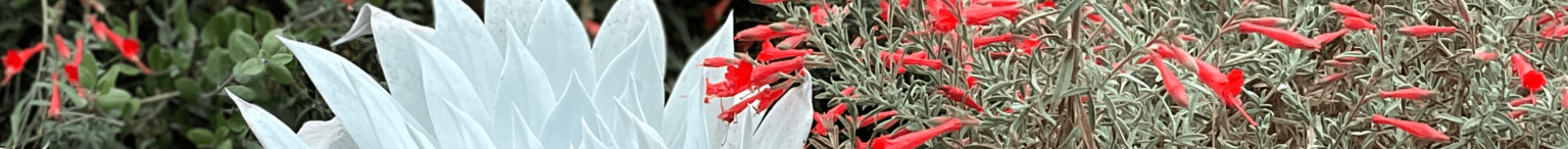 RESOURCES – Sonoma Resilient Landscapes Coalition