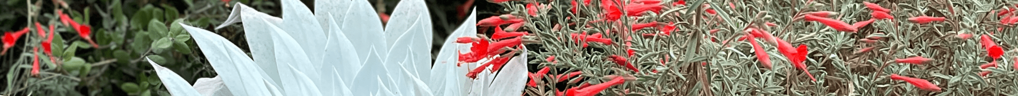 RESOURCES – Sonoma Resilient Landscapes Coalition